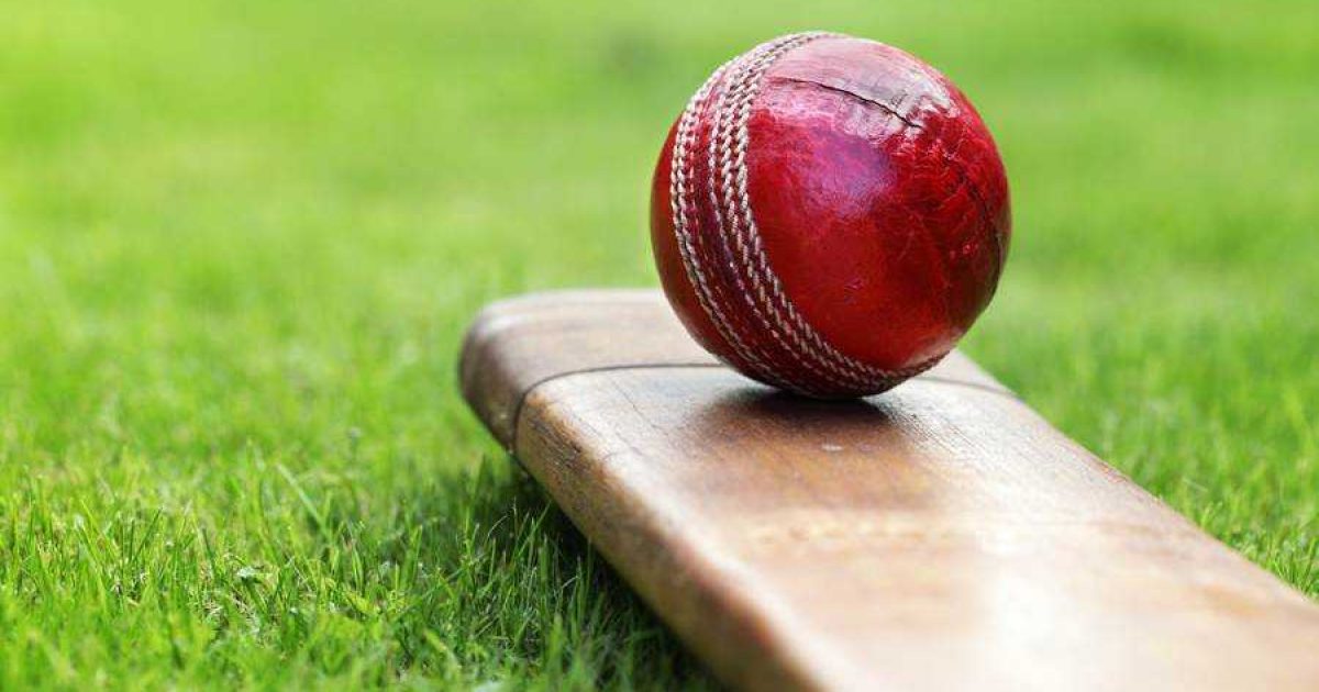 Le cricket, un sport de plus en… | INTERSPORT Belgium